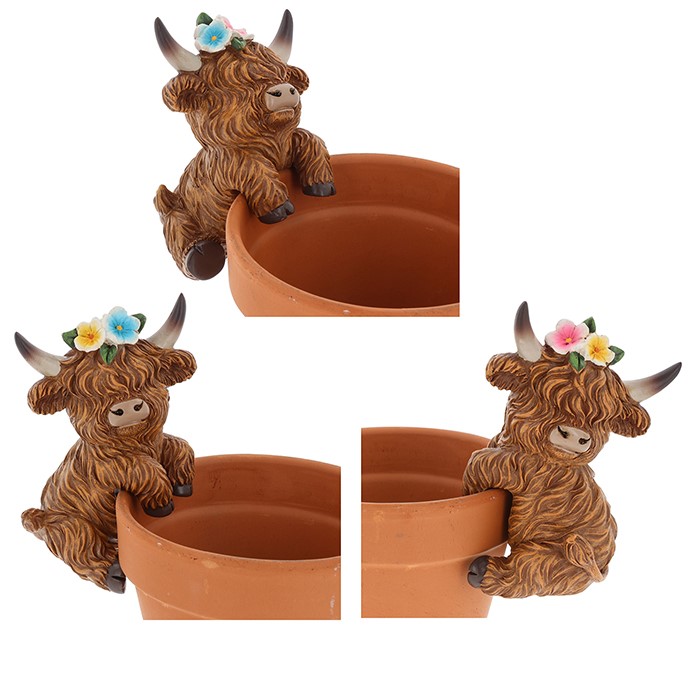 Product Details | Joe Davies - Leading UK Giftware Supplier